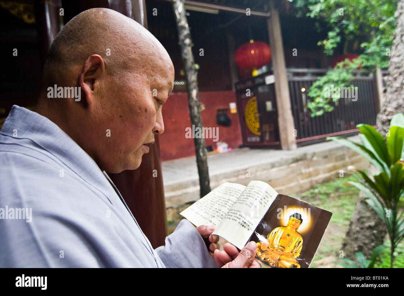 A Chinese Buddhist monk reading scripts from a holy book Stock Photo ...