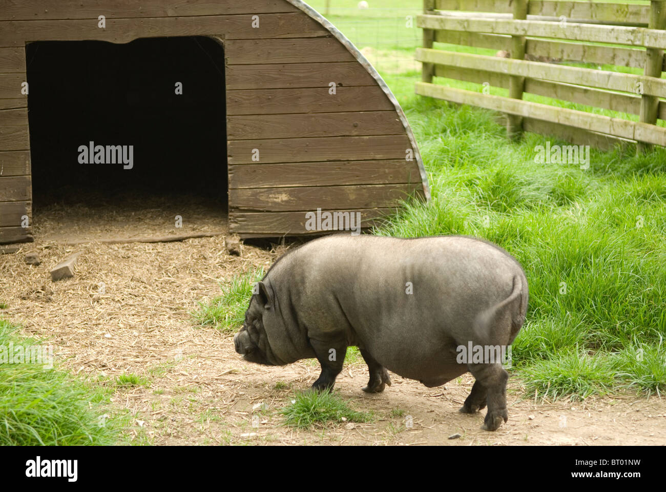 Pot bellied hut hi-res stock photography and images - Alamy