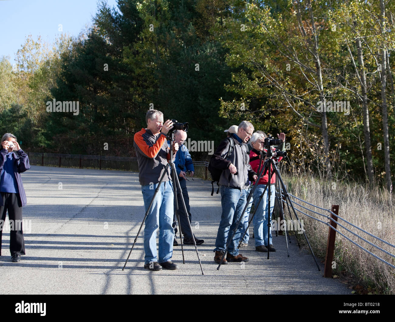 A group of photographers shooting fall foliage from a rest stop ...