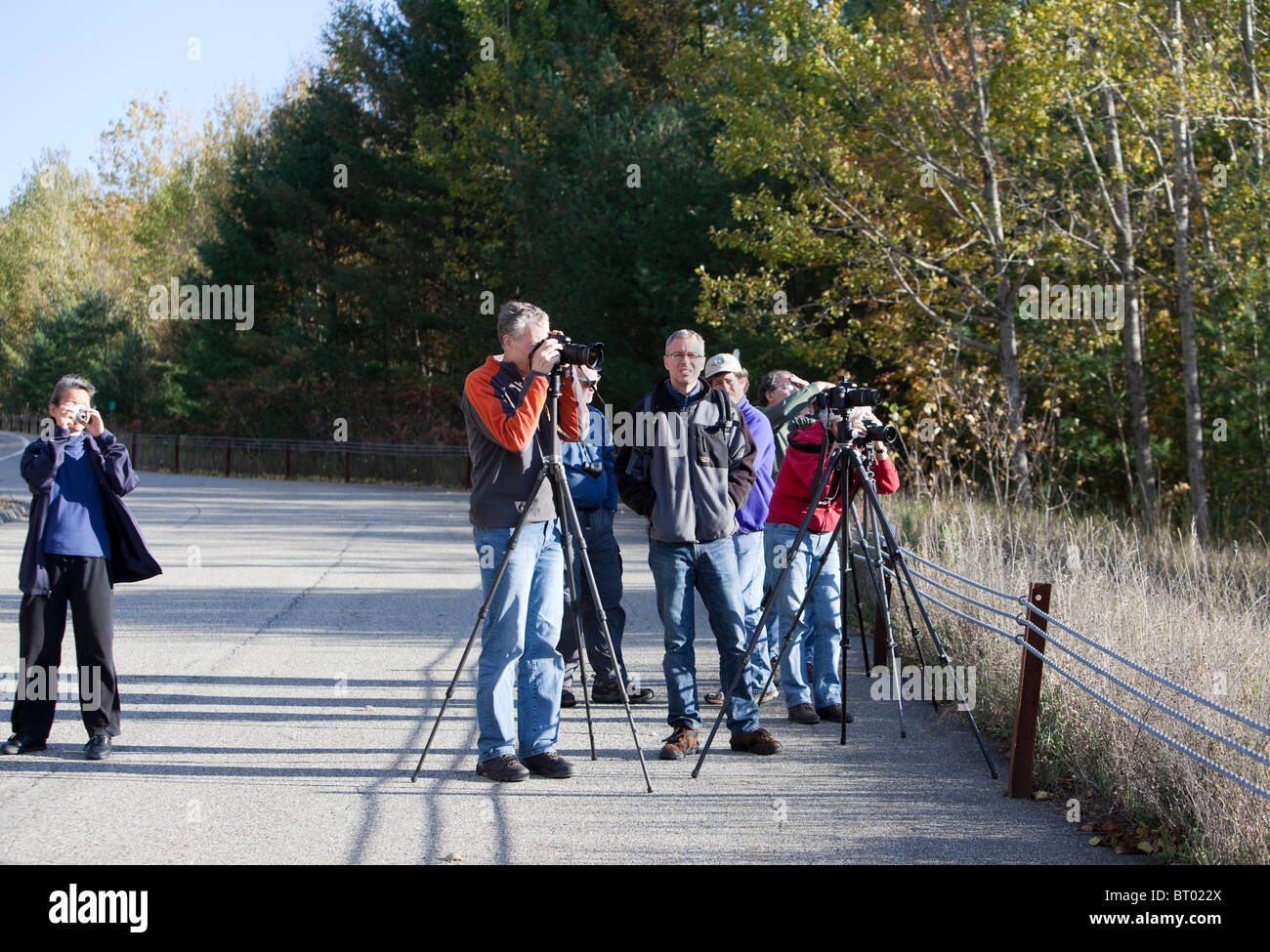 A group of photographers shooting fall foliage from a rest stop ...