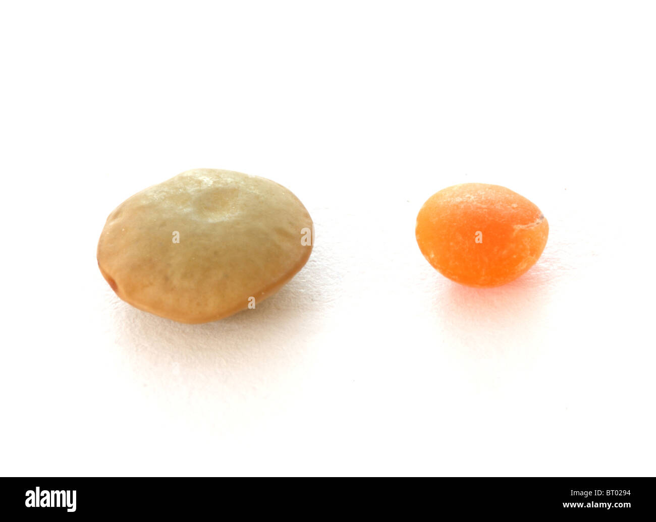 Legumen hi-res stock photography and images - Alamy