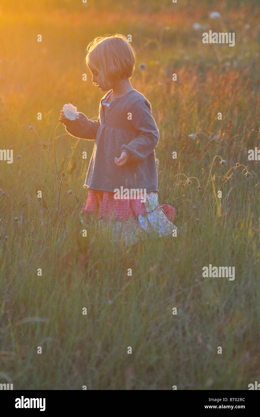 LITTLE GIRL AT SUNSET, SOMME (80), PICARDY, FRANCE Stock Photo - Alamy