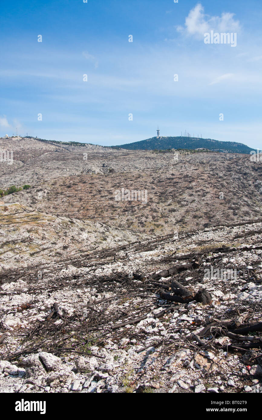 Remains after the fire in 2007 in Parnitha National Park, Greece Stock ...