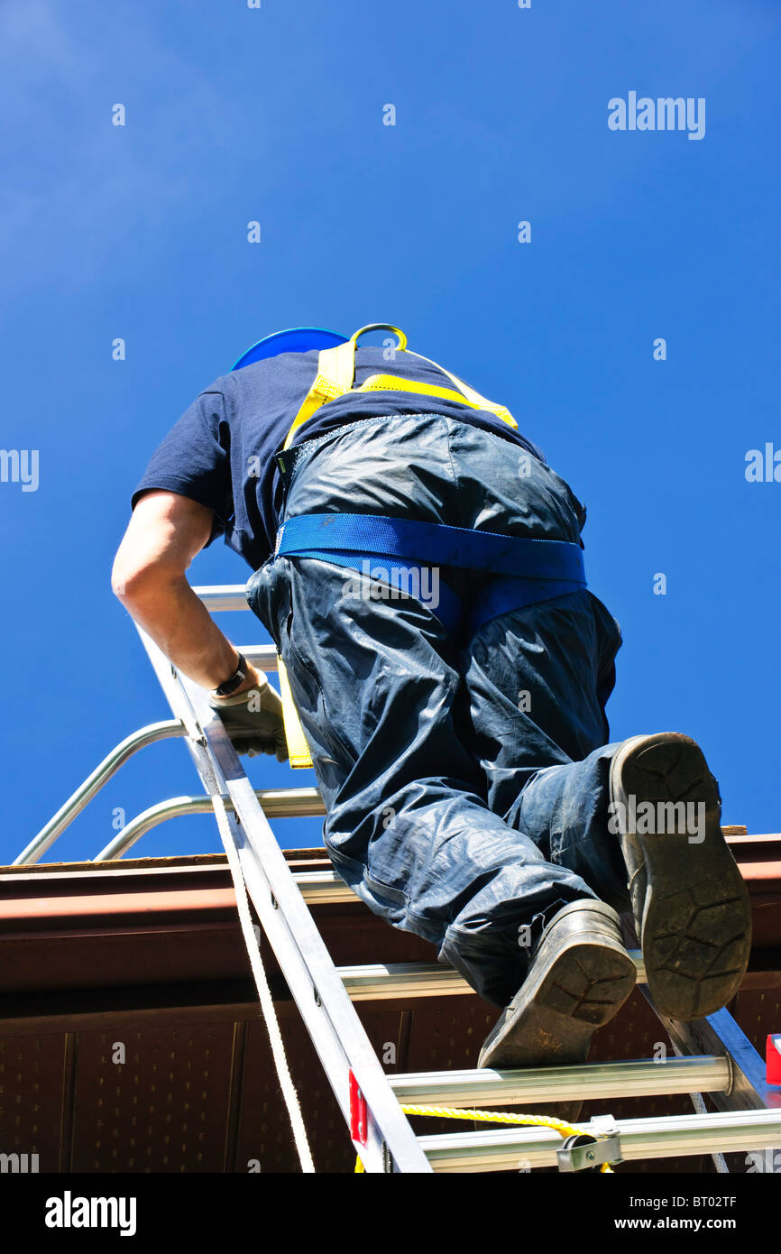 Construction worker climbing extension ladder to roof Stock Photo - Alamy