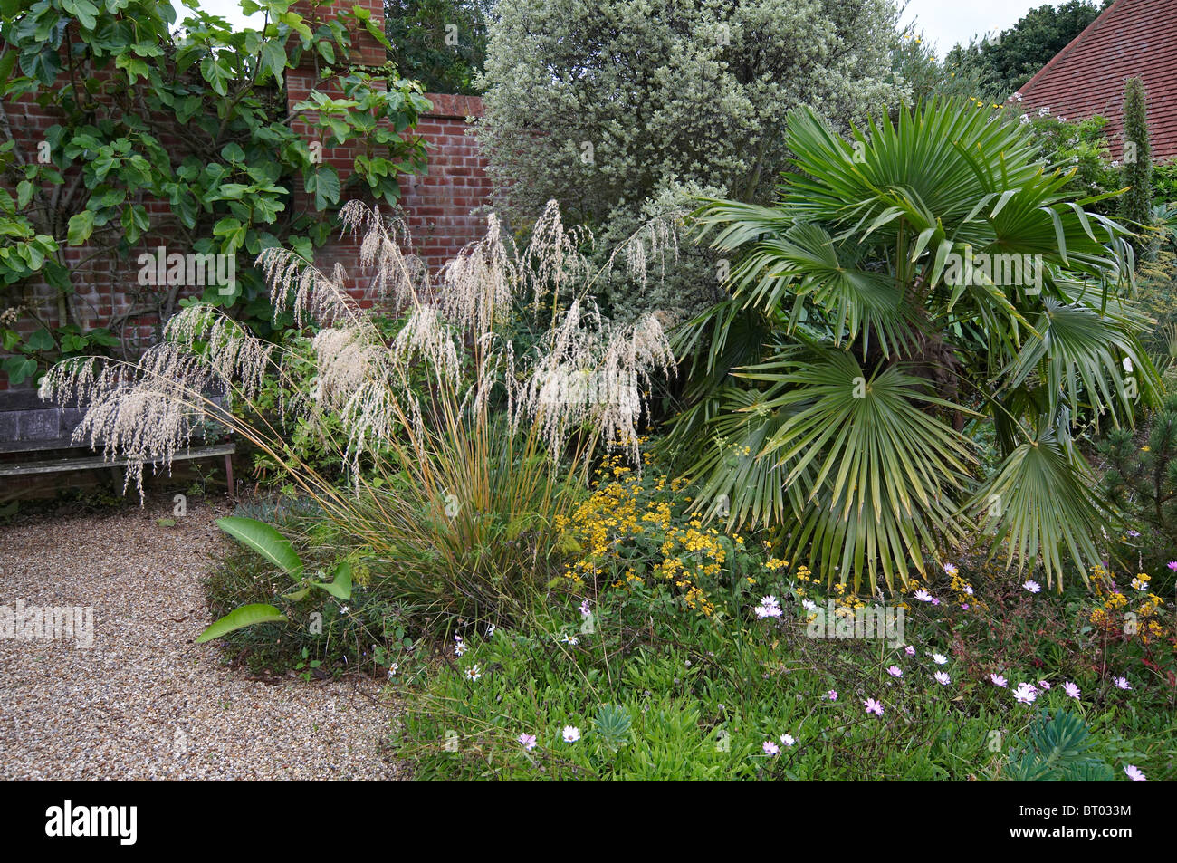 English country garden with grasses and palms Stock Photo - Alamy