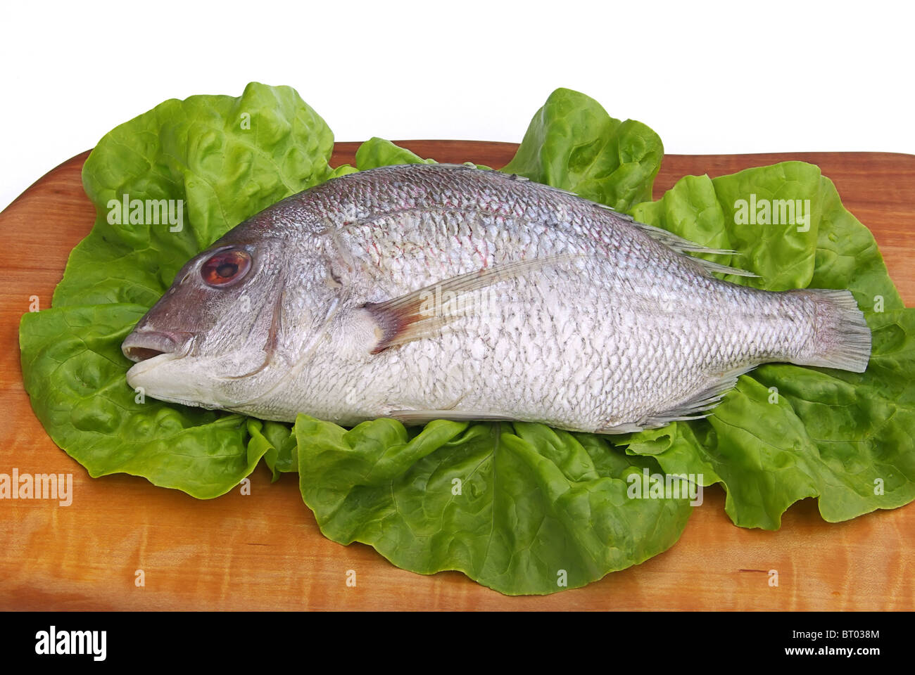 Gilt head bream hi-res stock photography and images - Alamy
