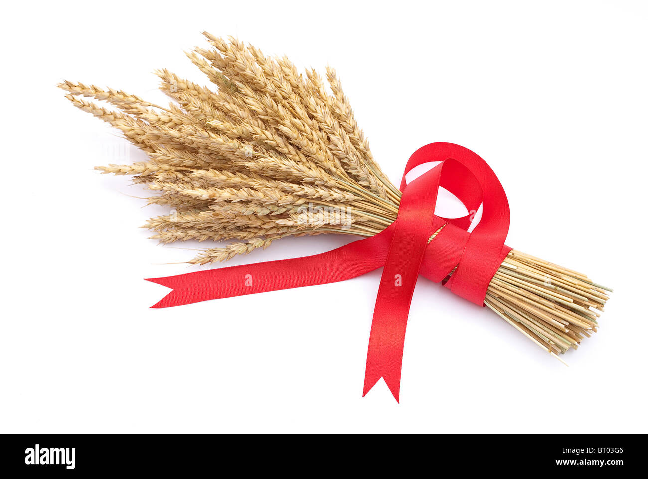 Ears of wheat tied with red ribbon Stock Photo - Alamy