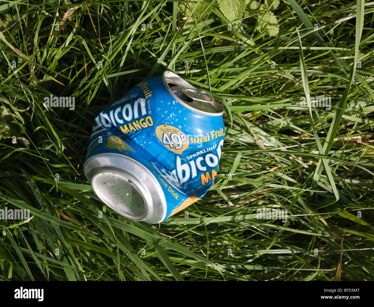 Squashed soft drink can discarded on grassy roadside verge Stock Photo ...