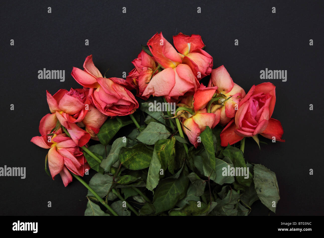 Bdb symbol hi-res stock photography and images - Alamy