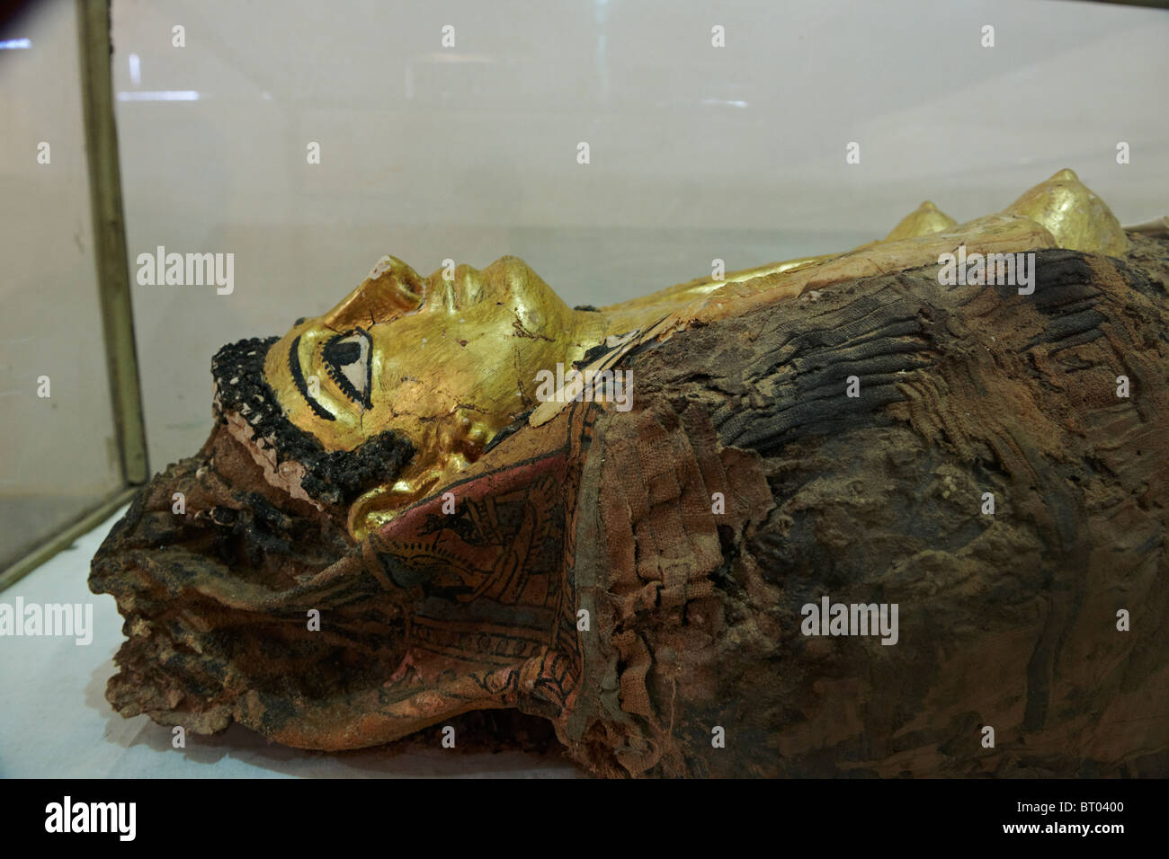 Mummy museum hi-res stock photography and images - Alamy