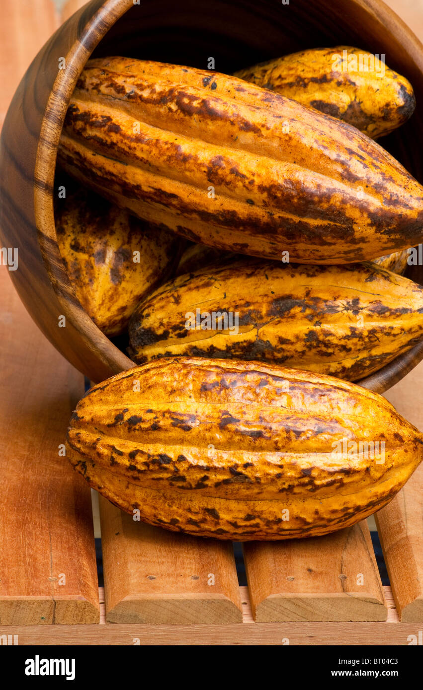 Pile cacao fruit pods hi-res stock photography and images - Alamy