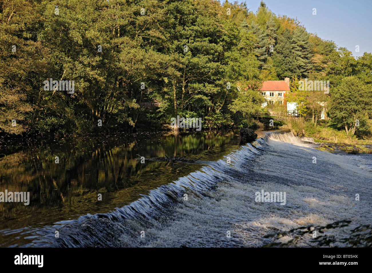 Scotton Flax Mill nestling in the NIdd Gorge, Yorkshire, England Stock ...