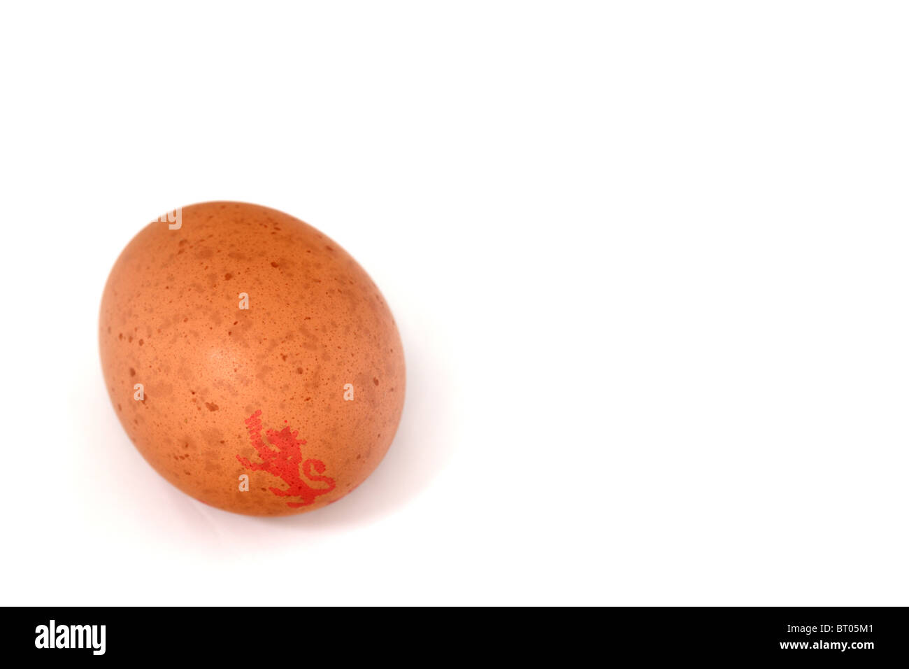 Single brown egg stamped with lion mark against a white background ...