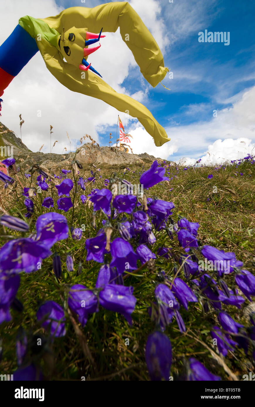 Purple flowers in switzerland hi-res stock photography and images - Alamy