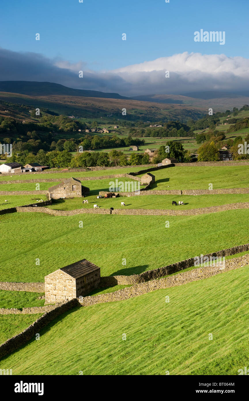 Looking up Swaledale in the Yorkshire Dales National Park near ...