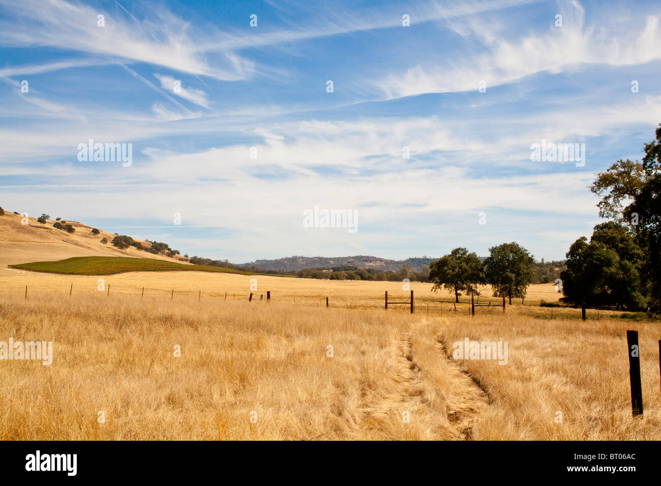 Sierra foothills california wine hi-res stock photography and images ...