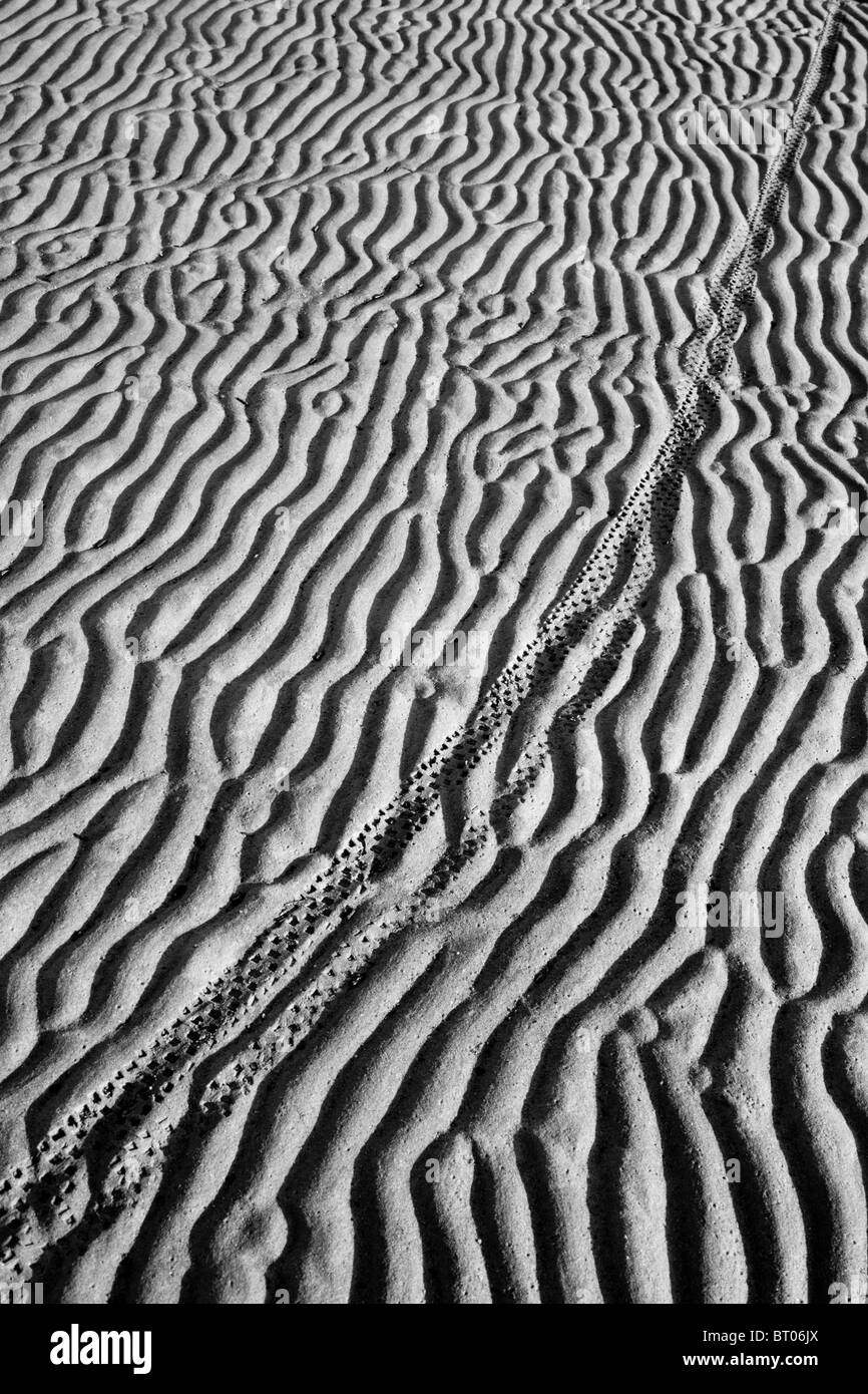 Tire track mark on Black and White Stock Photos & Images - Alamy