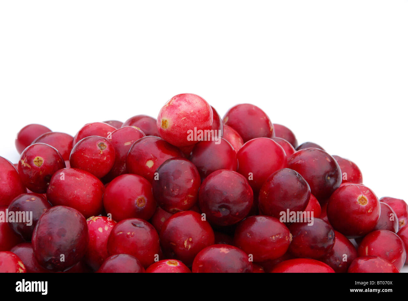 White cranberry hi-res stock photography and images - Alamy