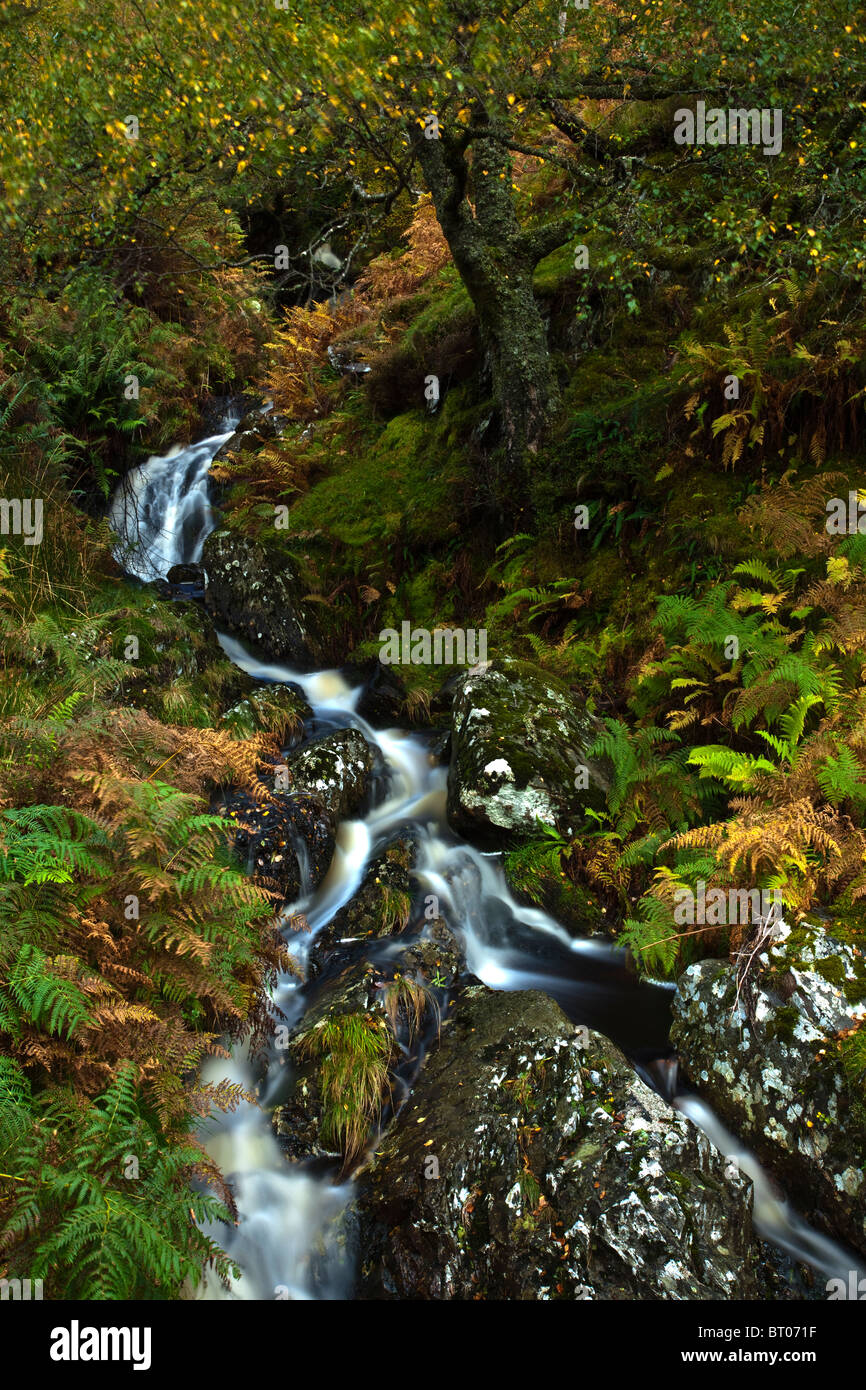 Berwyn mountain wales hi-res stock photography and images - Alamy