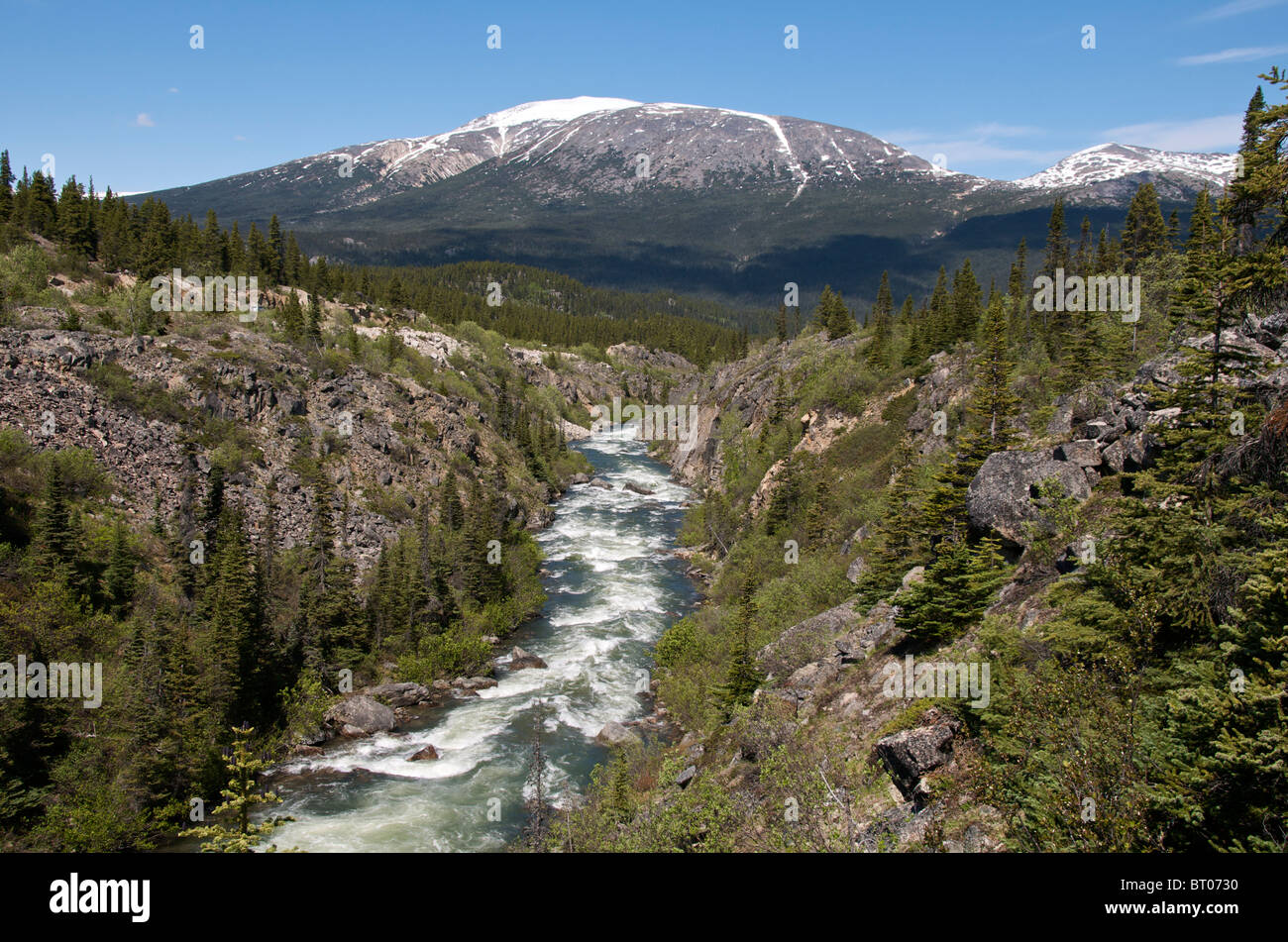 Tutshi hi-res stock photography and images - Alamy