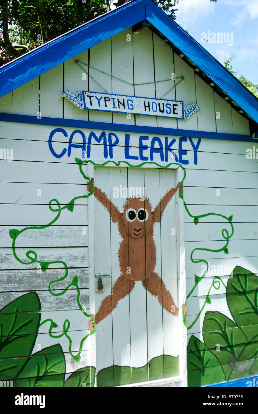 Typing House at Camp Leakey, Tanjung Puting NP, Borneo, Indonesia Stock ...