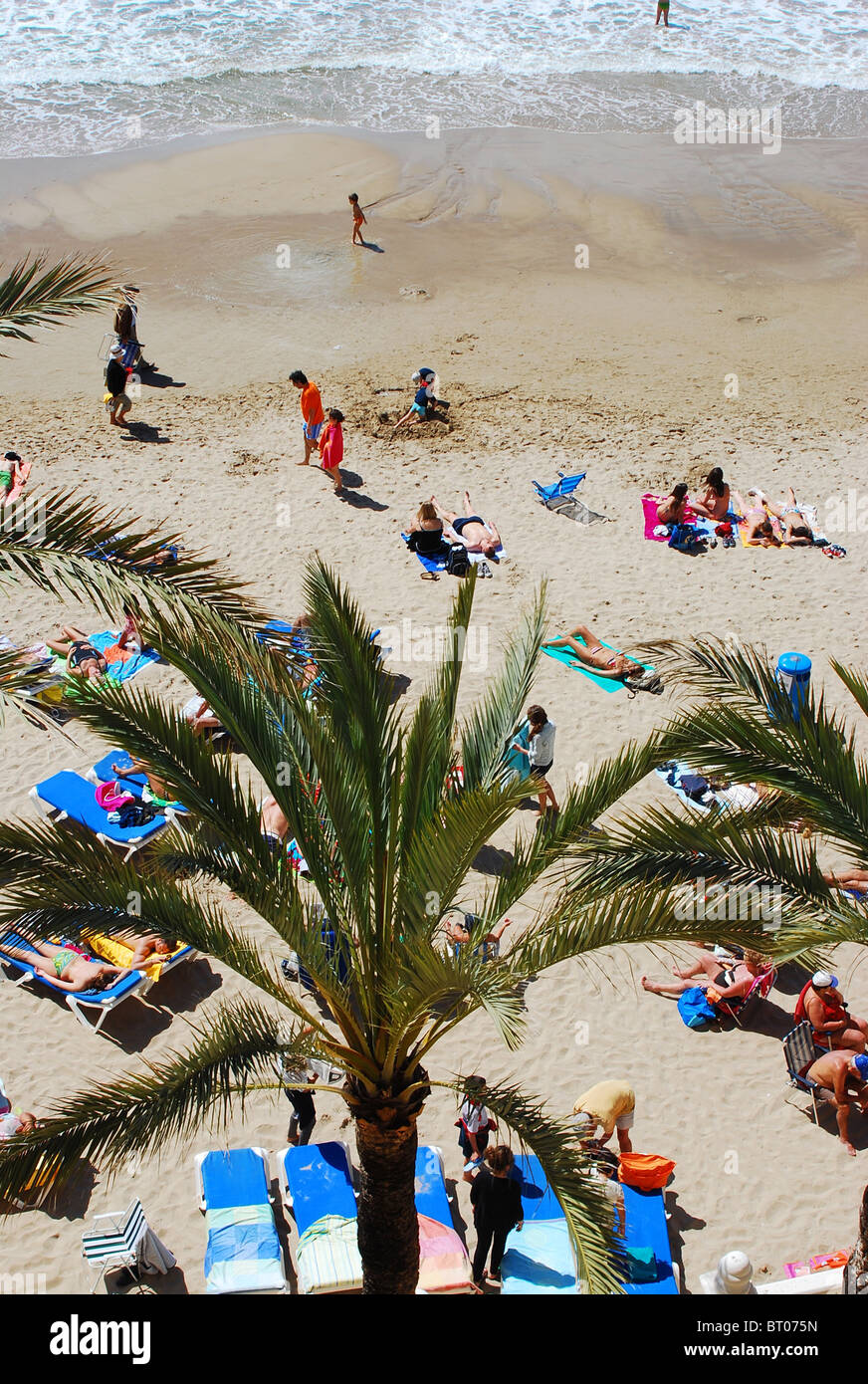 Sunny beach benidorm hi-res stock photography and images - Alamy