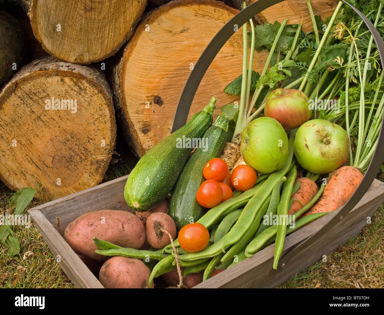 trug with garden vegetables Stock Photo - Alamy