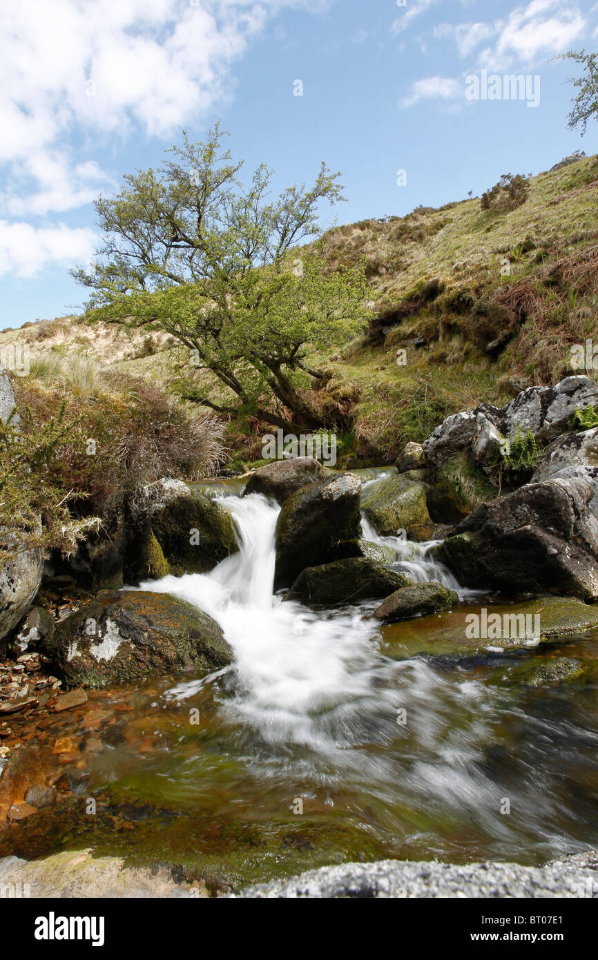 A Stream running through the Dartmoor national park in Devon Stock ...
