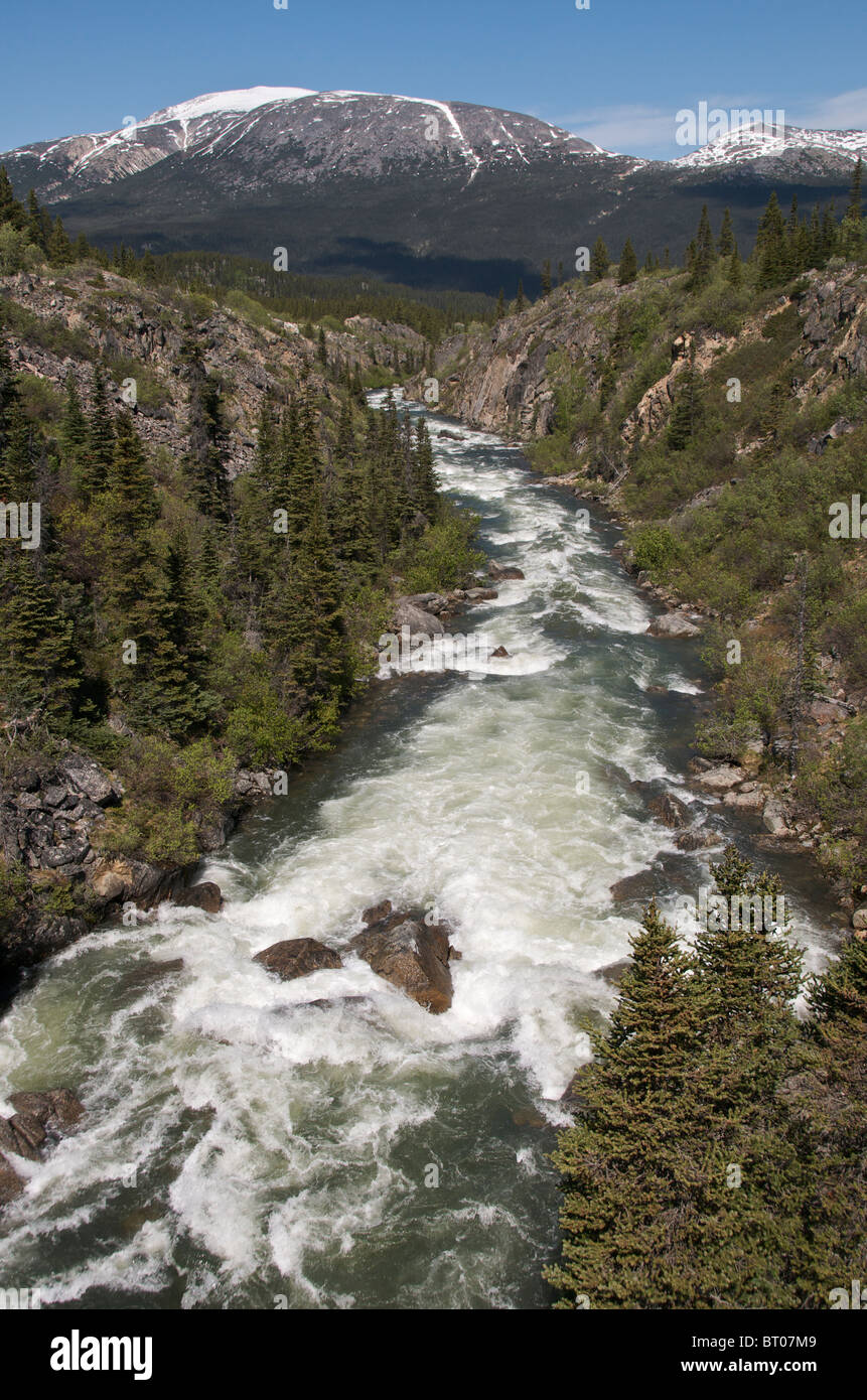 Tutshi river canyon hi-res stock photography and images - Alamy