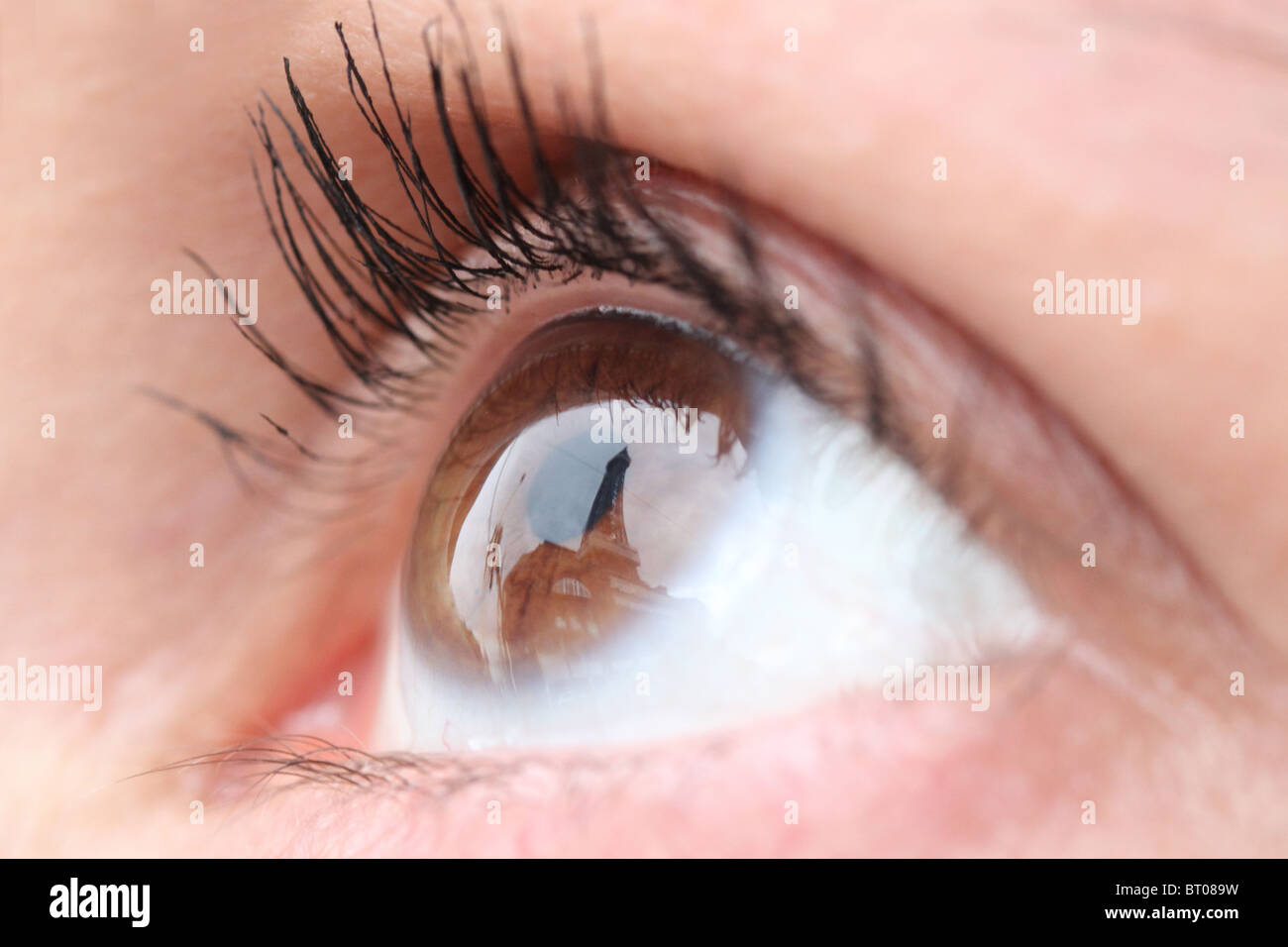 Blackpool Tower Eye High Resolution Stock Photography and Images - Alamy