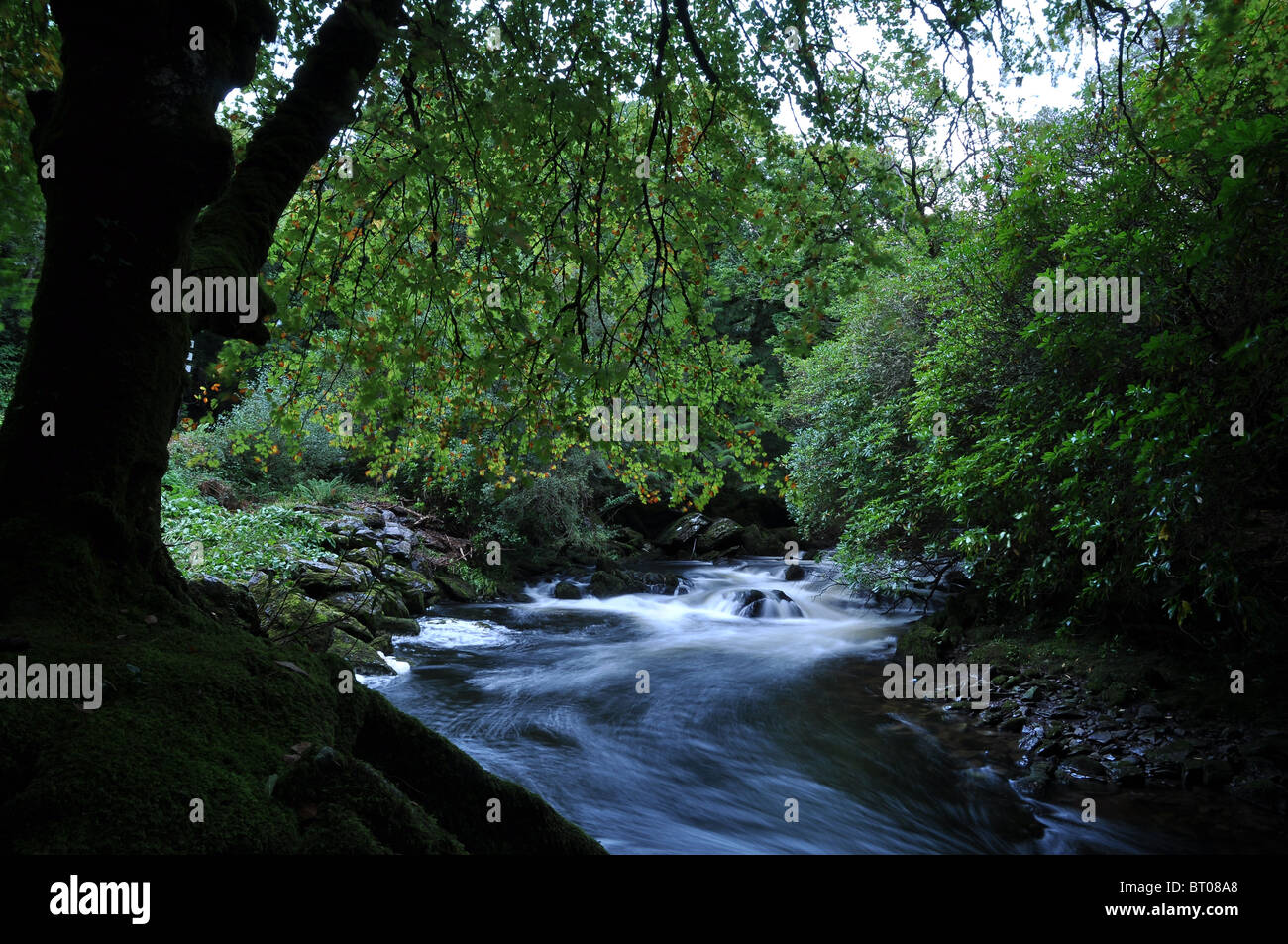 Waterfalls in lauragh beara cork ireland Stock Photo - Alamy
