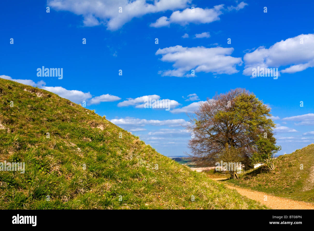 Danebury hill fort hi-res stock photography and images - Alamy