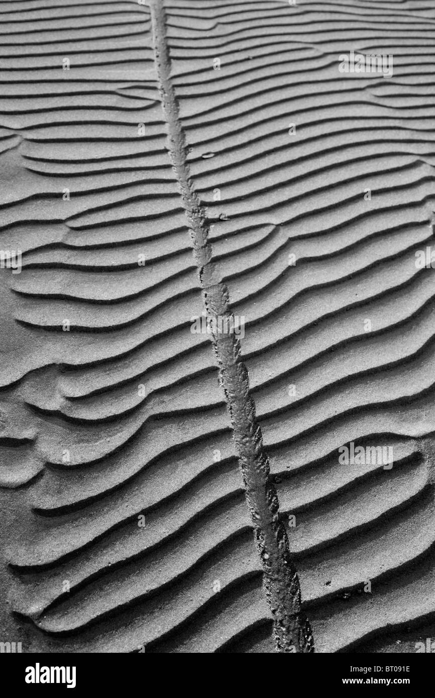 Texture from black sand Black and White Stock Photos & Images - Alamy