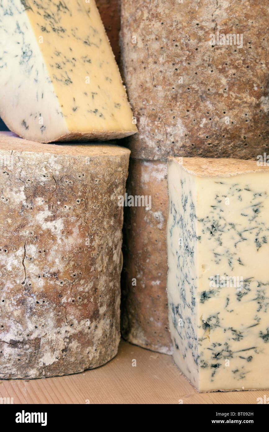 Stilton cheese wheel hi-res stock photography and images - Alamy