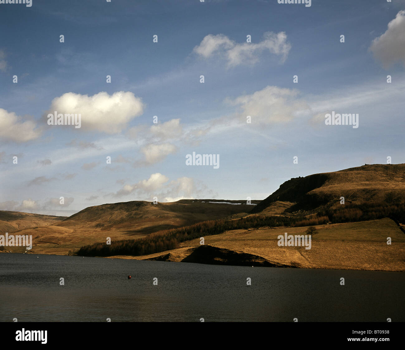 Ashway moss hi-res stock photography and images - Alamy