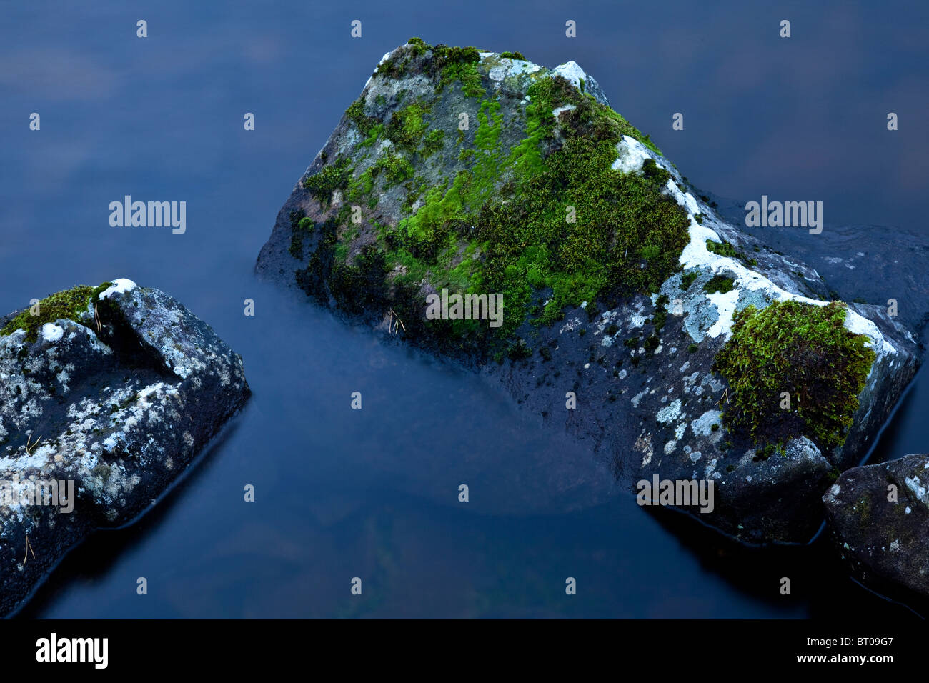 Half moss half rock hi-res stock photography and images - Alamy