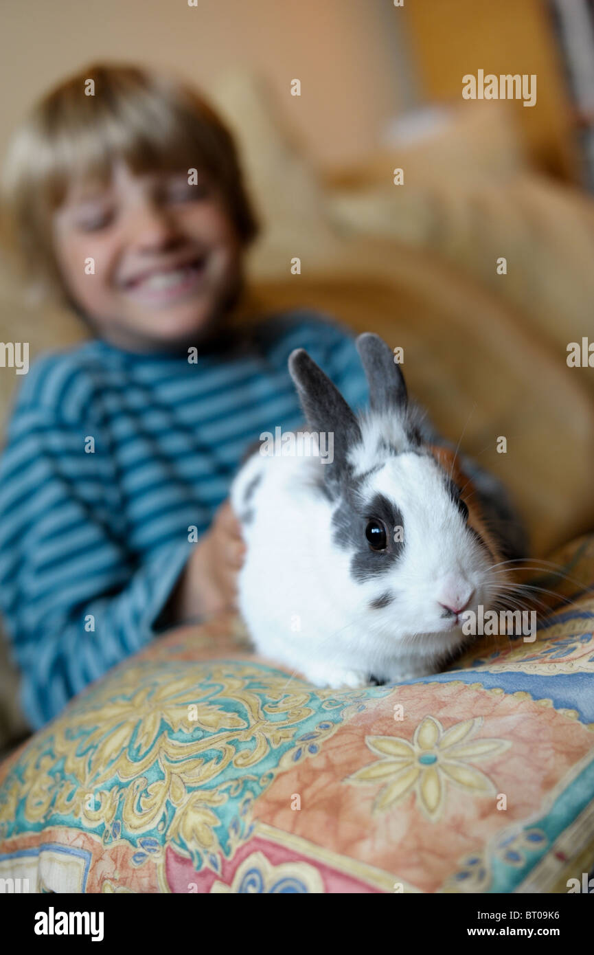A white and grey house rabbit sitting on a cushion on the lap of a boy ...