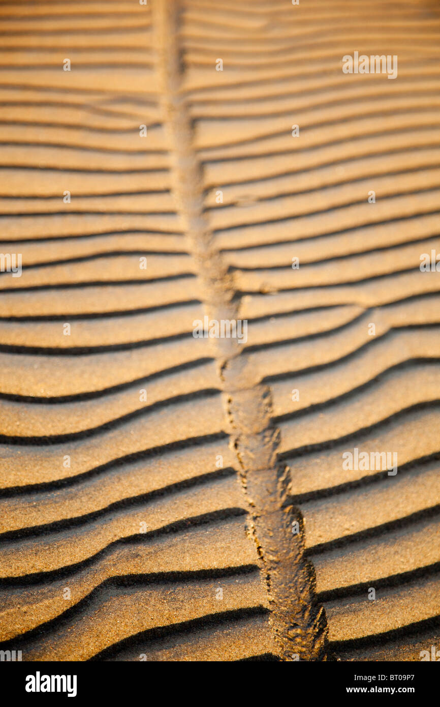 Closeup of bicycle tire tracks on soft wavy beach sand Stock Photo - Alamy