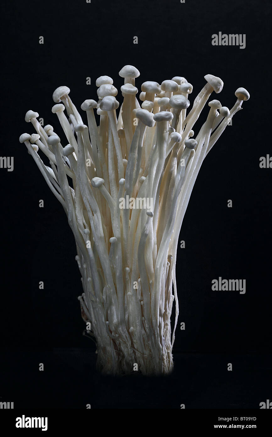 Brown enoki mushrooms hi-res stock photography and images - Alamy