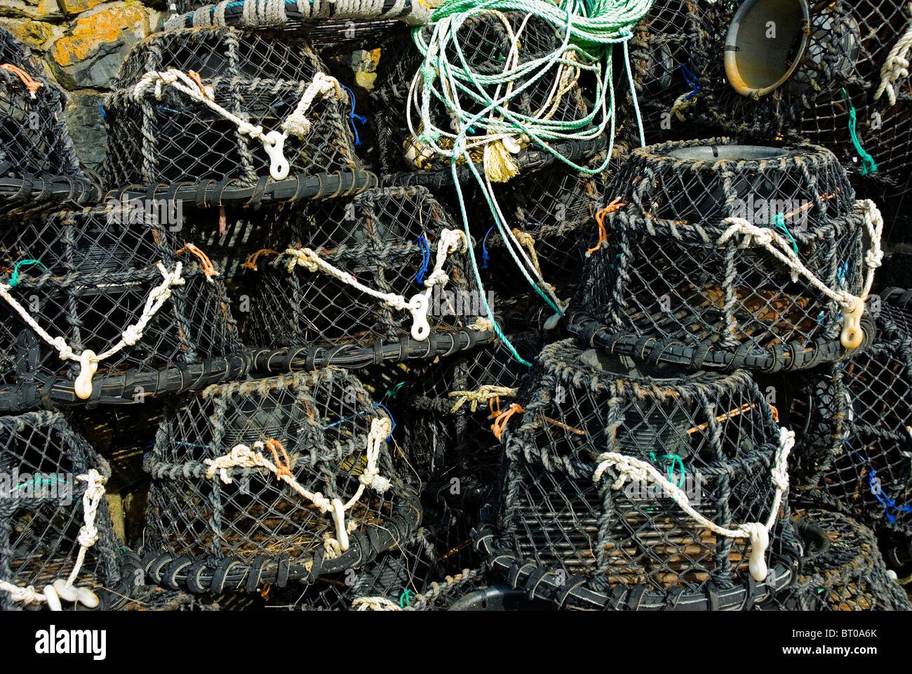 Lobster implements hi-res stock photography and images - Alamy