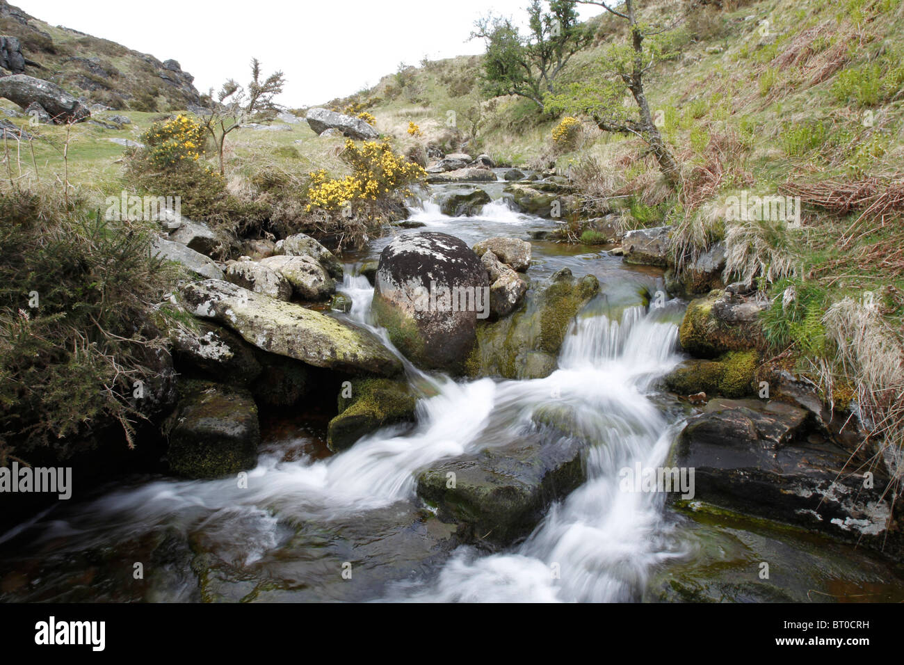 A Stream running through the Dartmoor national park in Devon Stock ...