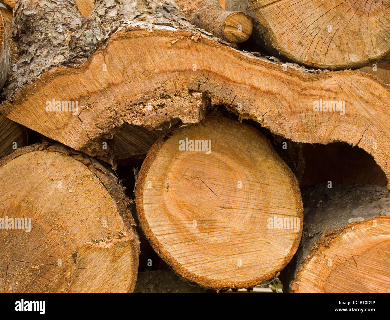 Sawn timber close up hi-res stock photography and images - Alamy