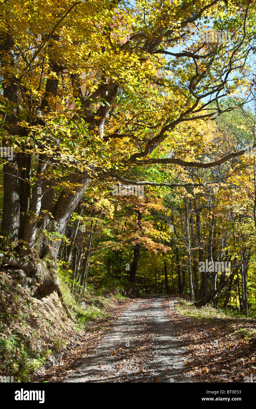 Fall foliage in west virginia hi-res stock photography and images - Alamy