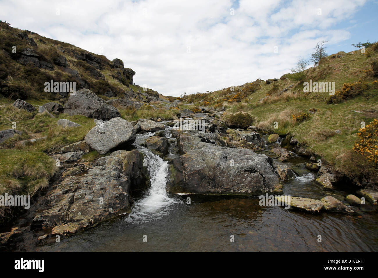 A Stream running through the Dartmoor national park in Devon Stock ...