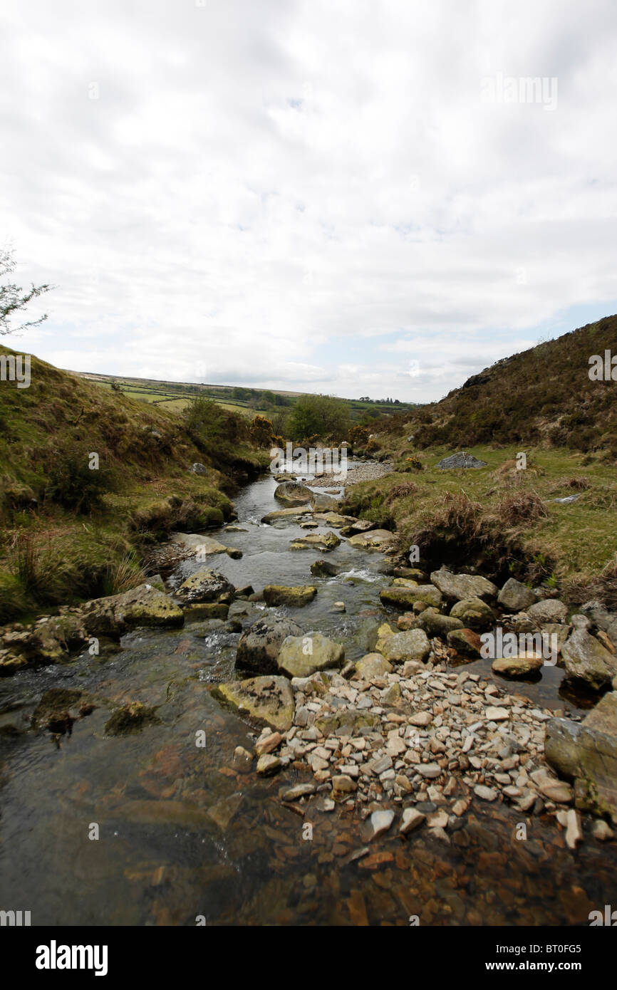 A Stream running through the Dartmoor national park in Devon Stock ...