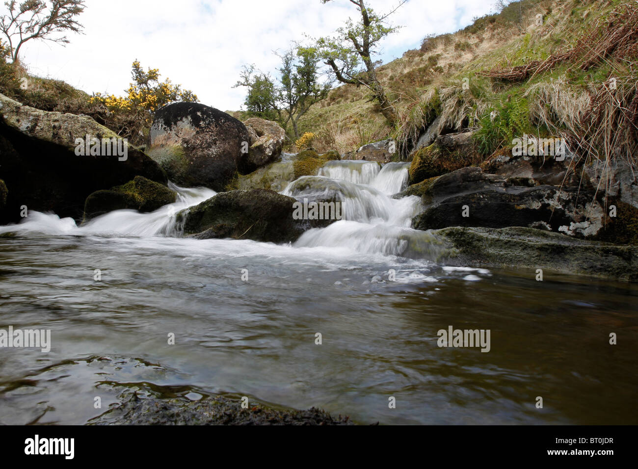 A Stream running through the Dartmoor national park in Devon Stock ...