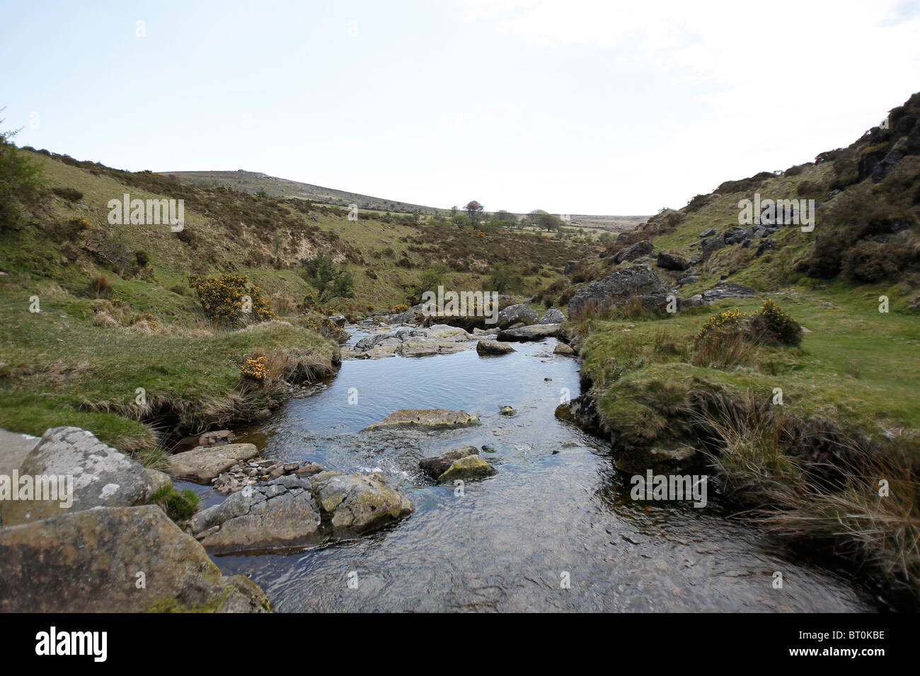 A Stream running through the Dartmoor national park in Devon Stock ...