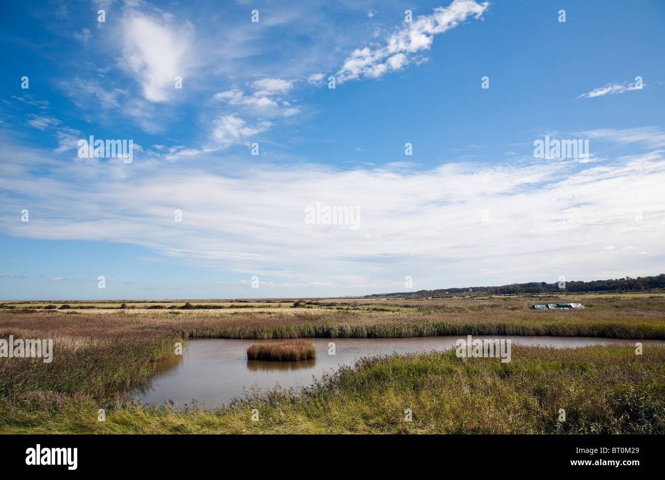 Norfolk saltmarsh landscape Stock Photo - Alamy