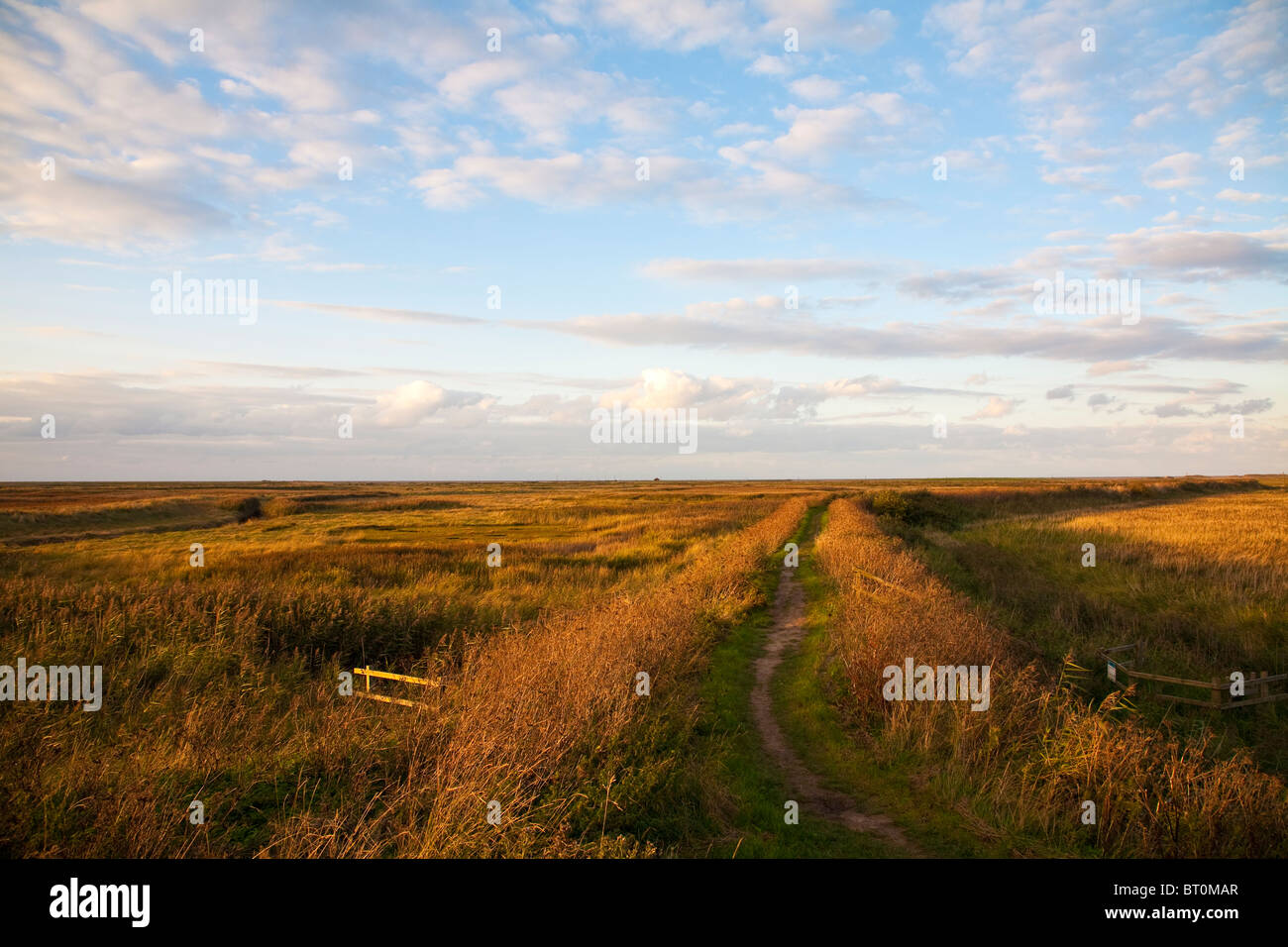 Norfolk salt marshes sunset hi-res stock photography and images - Alamy