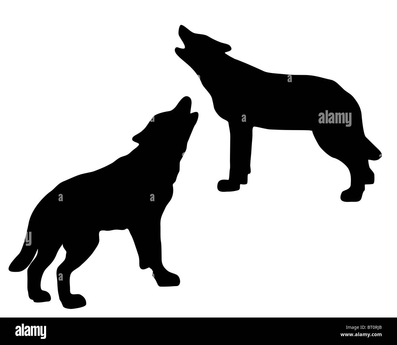 Wolf howling wolves Cut Out Stock Images & Pictures - Alamy